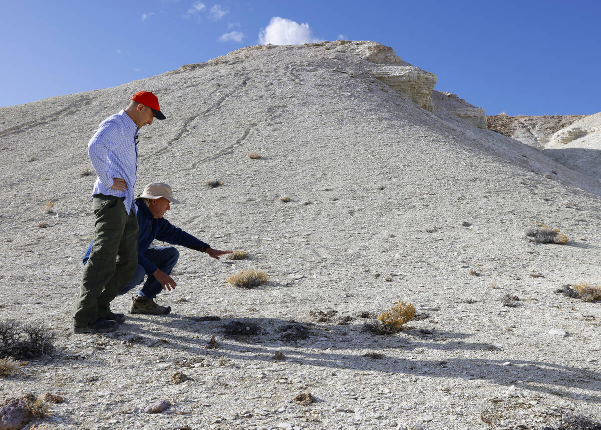 Ioneer hopes to build lithium mine at Rhyolite Ridge near Tonopah ...