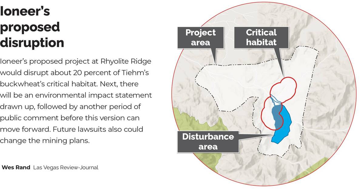 Ioneer hopes to build lithium mine at Rhyolite Ridge near Tonopah ...