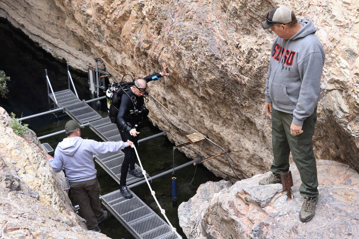 Devils Hole pupfish show hopeful signs in Death Valley | Local Nevada ...
