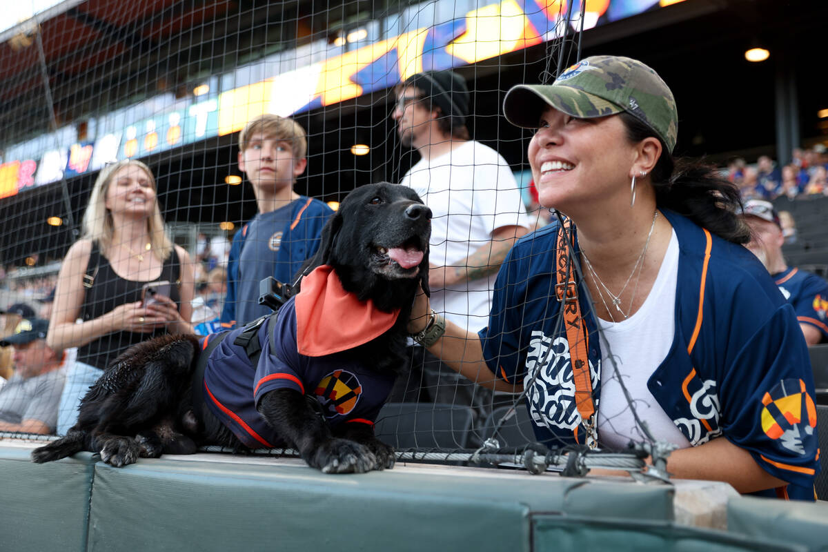 Finn the Bat Dog honored at Las Vegas Aviators Triple-A game — PHOTOS ...
