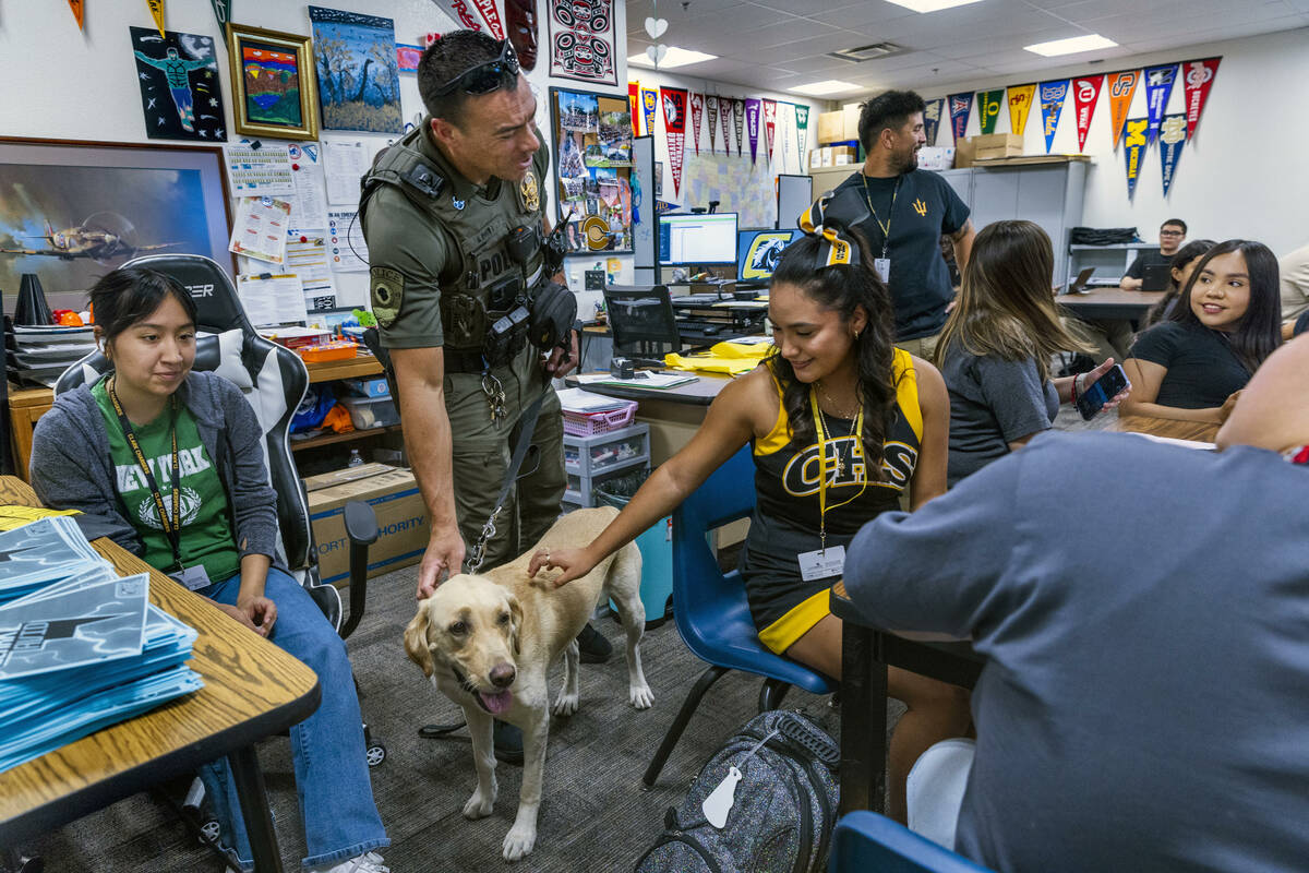 K-9s: CCSD Police’s most popular officers | Education | Local