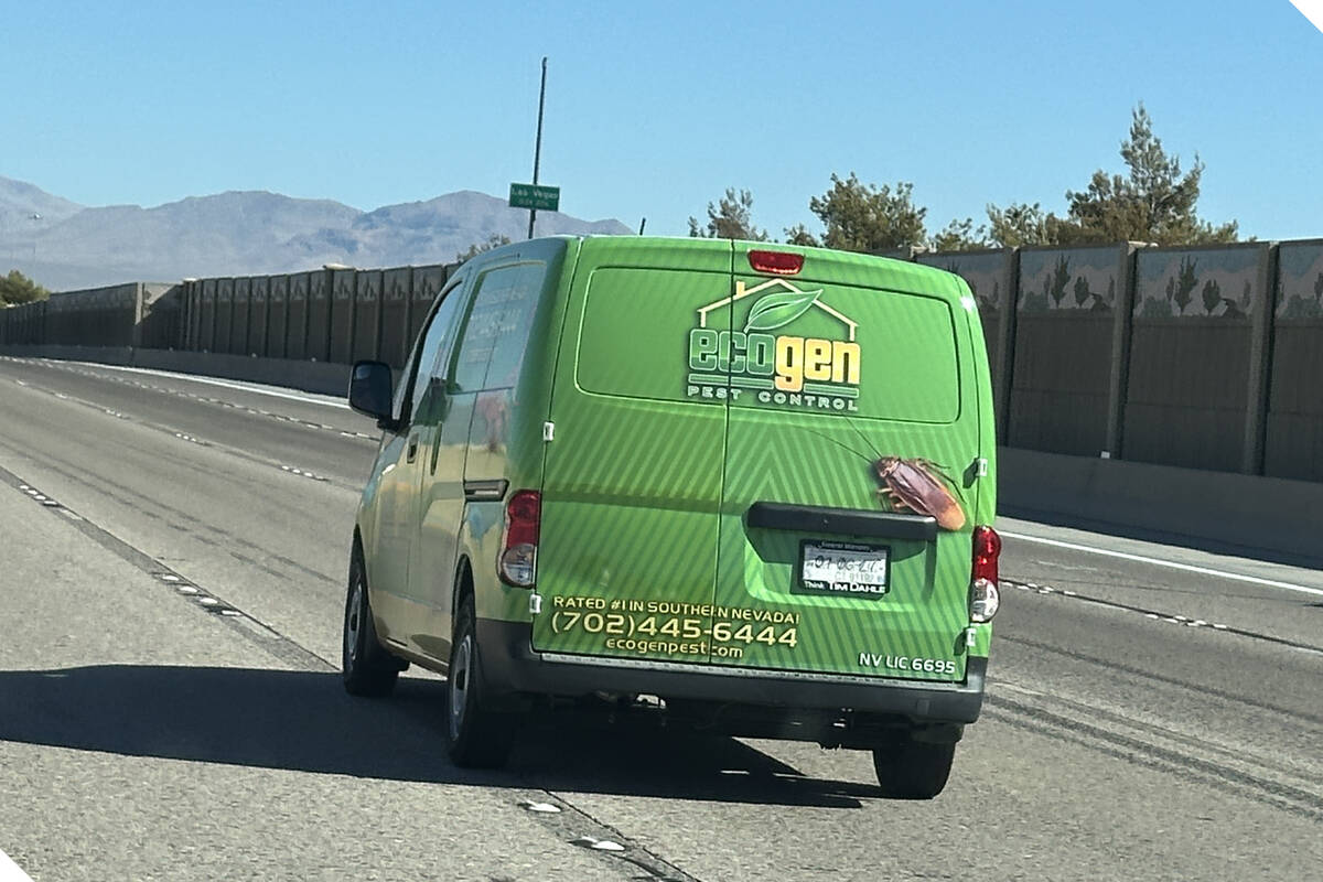 Why are there so many expired temporary license plates in Las Vegas ...