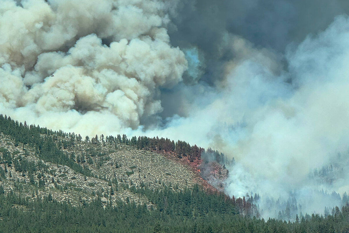 Nevada governor declares emergency as Davis Fire south of Reno sparks ...