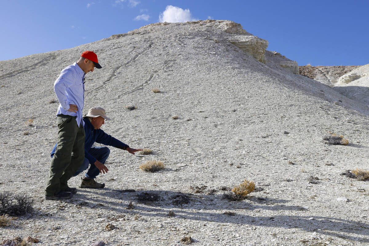 Lithium-boron mine in Nevada advances | Local Nevada | Local