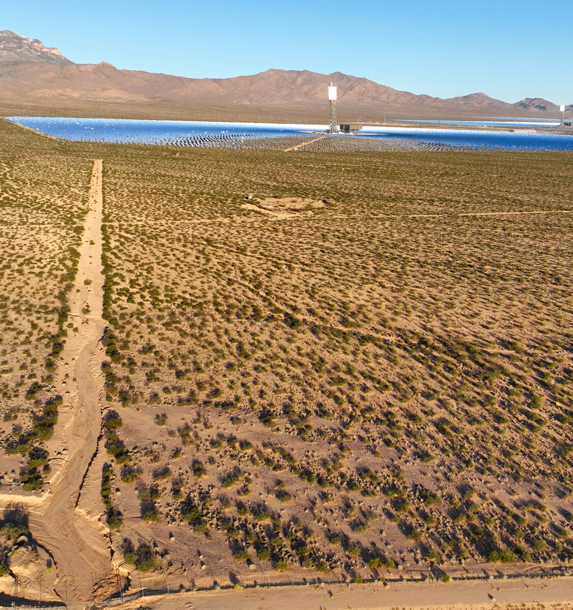 That maze of towers off I-15 near Primm is a solar energy plant ...