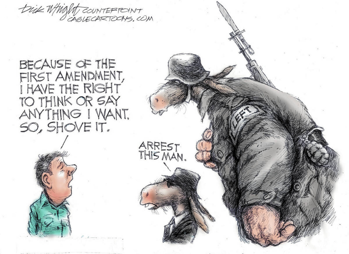 Democrats identify the real threat to democracy | CARTOONS | Drawing ...