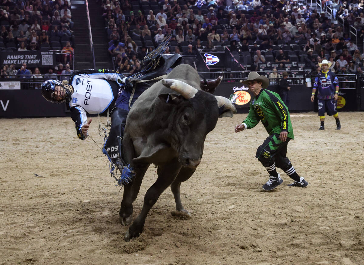 Professional Bull Riders Teams Championship 2024 won by Austin Gamblers ...