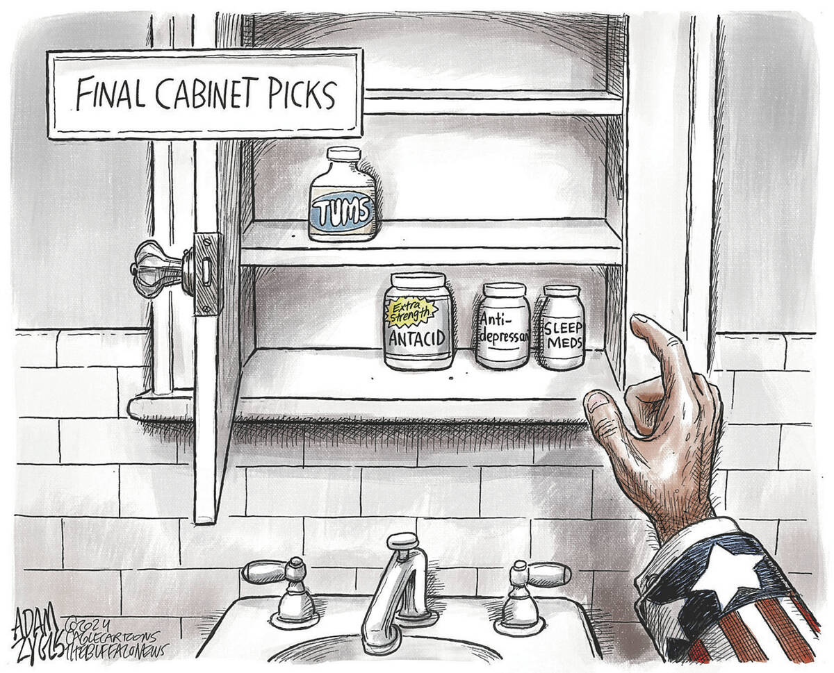 How Democrats are processing Harris’ loss | CARTOONS | Drawing Board ...