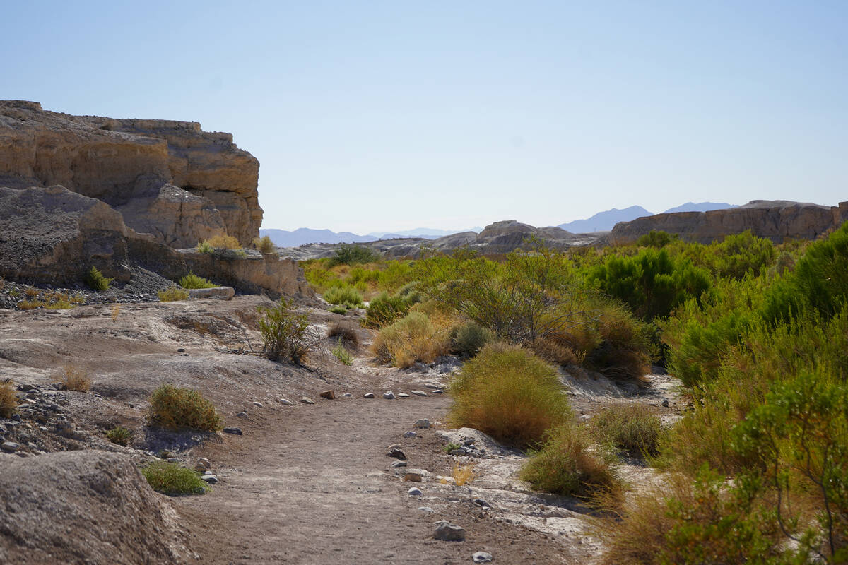 Exploring the trails of Ice Age Fossils State Park in Las Vegas | Live Well