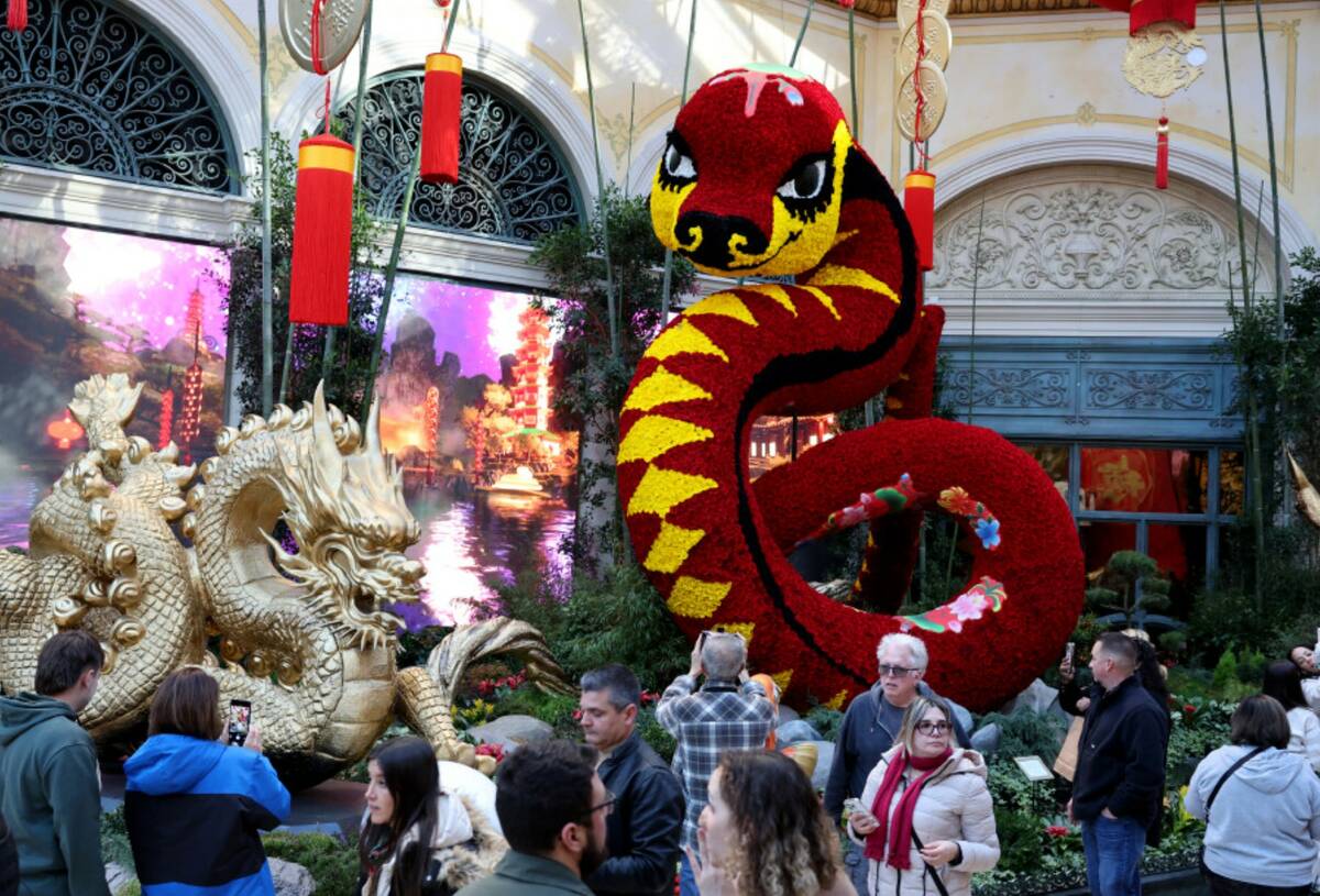 ‘Year of the Snake’ display slithers into Bellagio gardens — PHOTOS ...