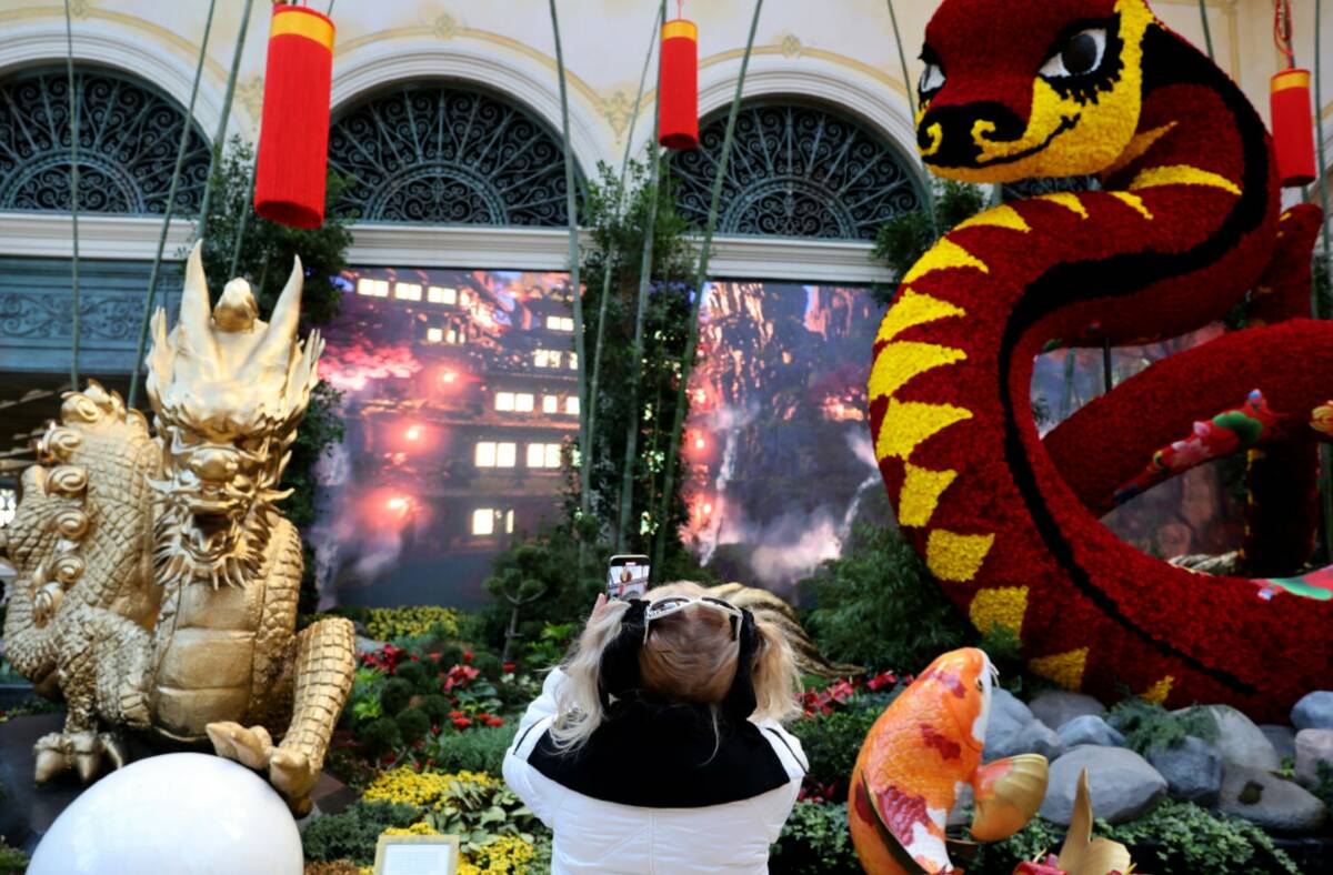 ‘Year of the Snake’ display slithers into Bellagio gardens — PHOTOS ...