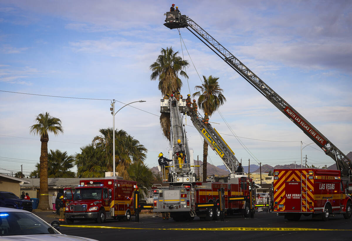 Man dies after being found stuck in palm tree in Las Vegas | Local Las ...