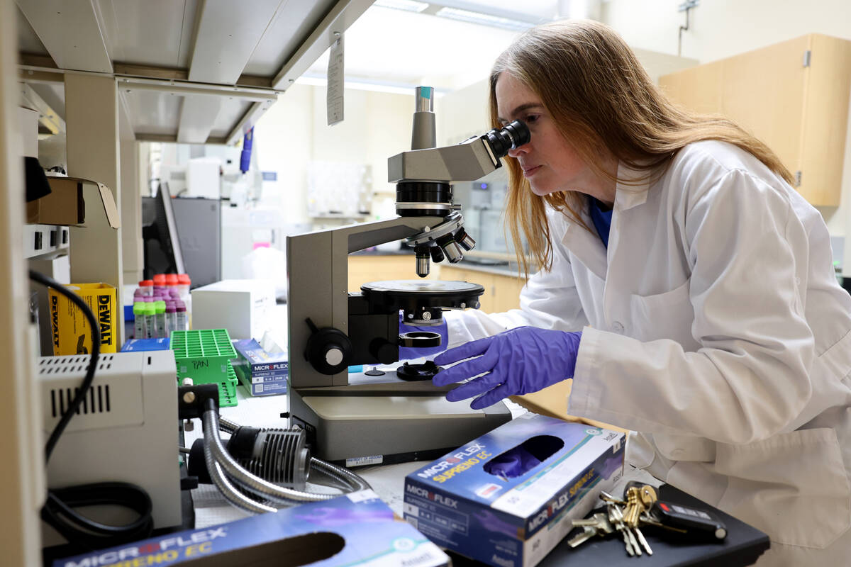 UNLV professor leads NASA study of first soil samples from Mars ...