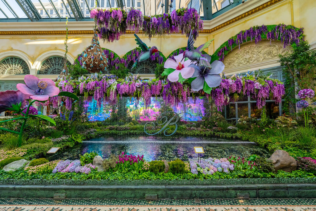 Bellagio Conservatory unveils spring 2025 display — PHOTOS | Arts & Culture | Entertainment