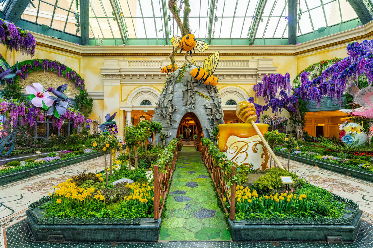 Bellagio Conservatory unveils spring 2025 display — PHOTOS | Arts & Culture | Entertainment