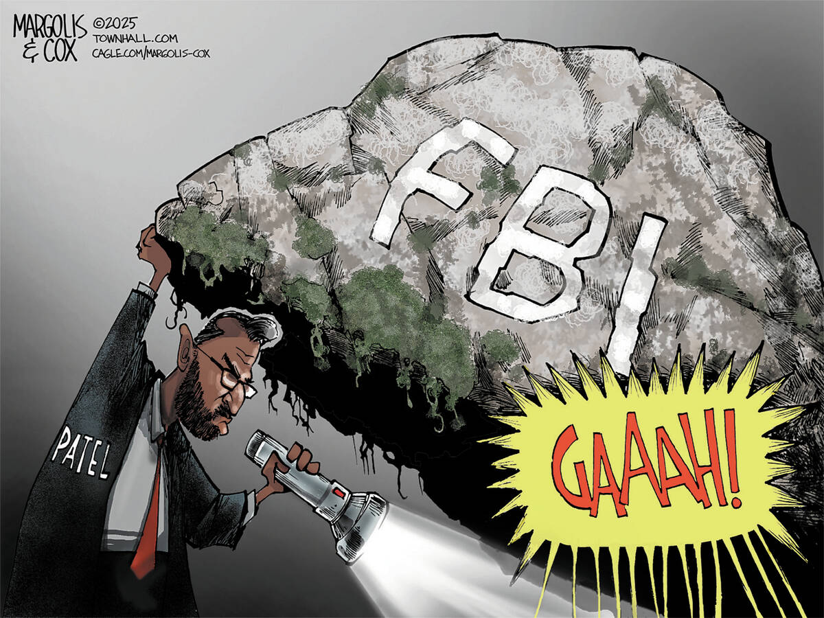 CARTOONS: What’s hiding under the FBI rock | CARTOON | Drawing Board ...