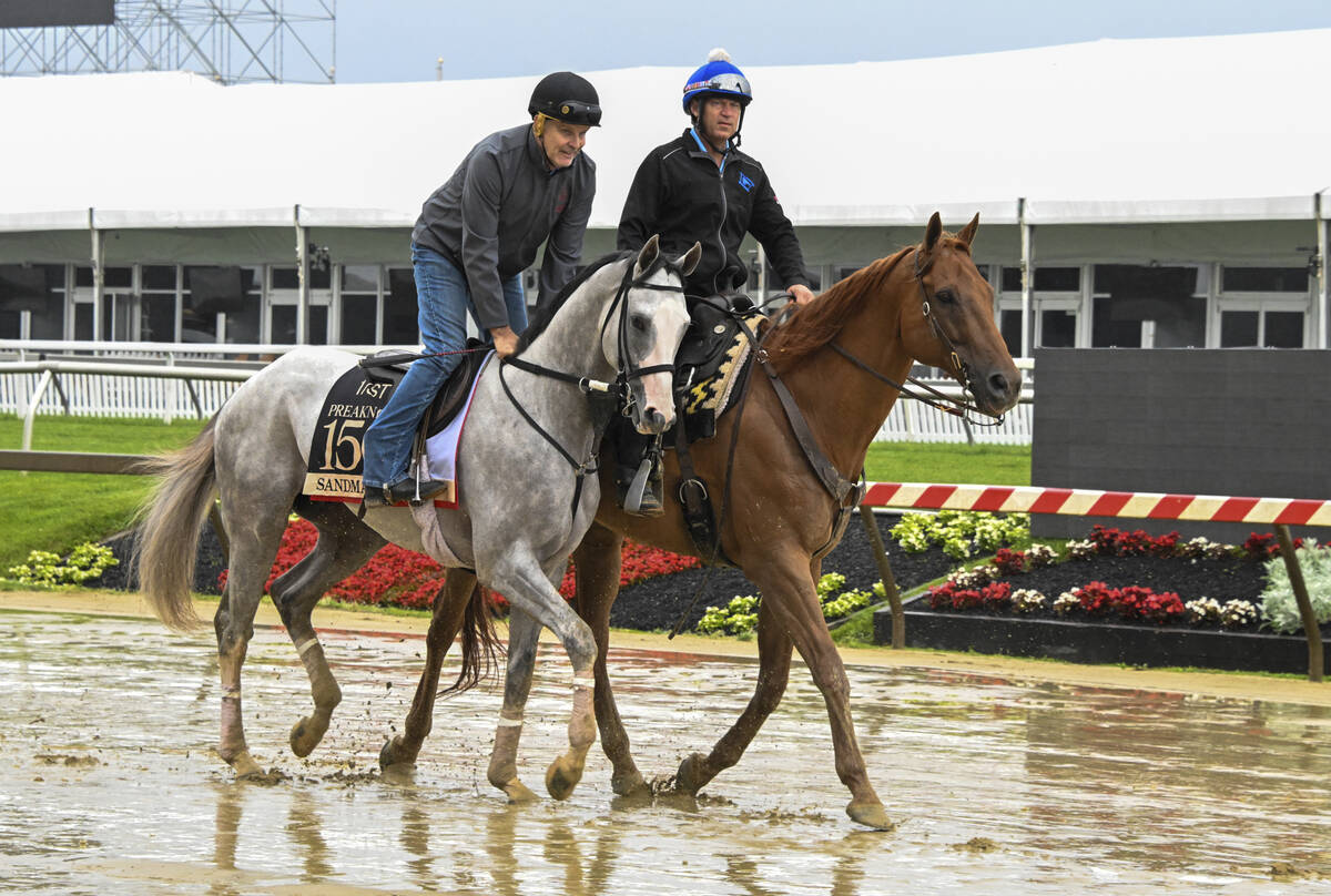 Preakness Stakes 2025 odds, picks, horse-by-horse betting analysis ...