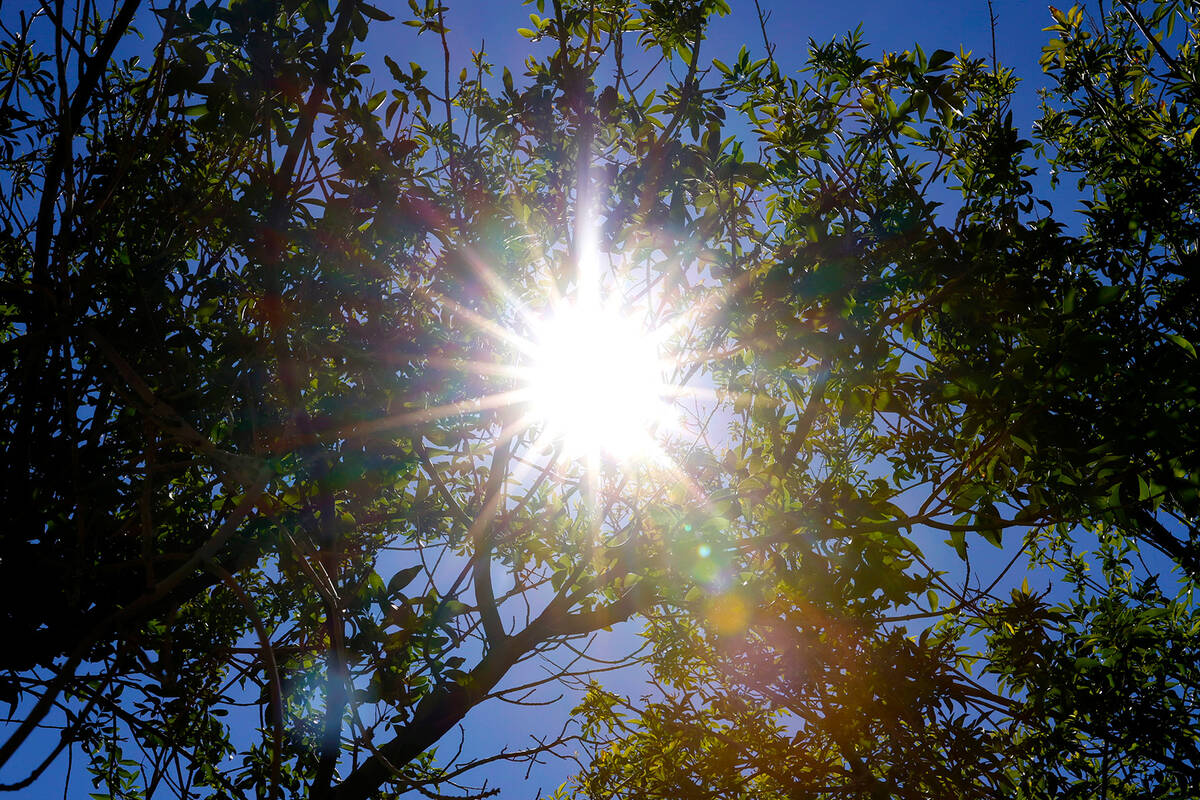 Las Vegas weather: This week the highest temperature forecast is 82 ...