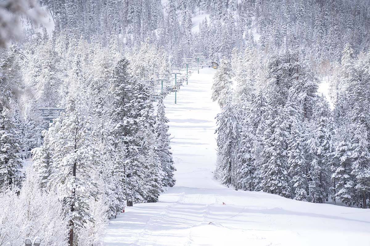 Lee Canyon will be entirely open starting Friday November 21 | Local