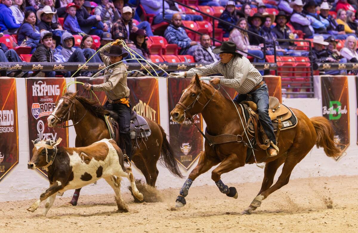 Rodeo competitions beyond NFR make Vegas home | National Finals Rodeo ...