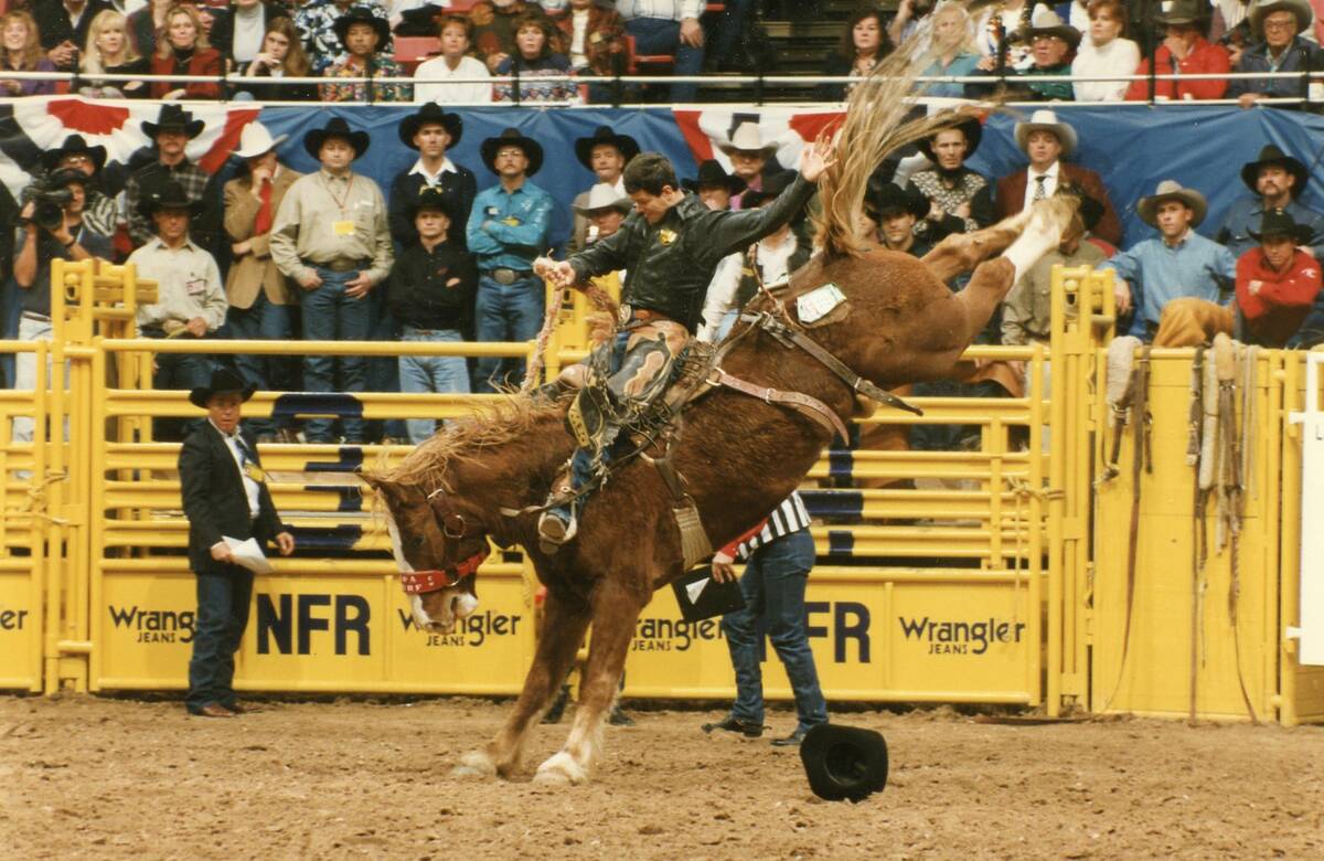 Vegas NFR Icons class of 2025 | National Finals Rodeo | Sports | Rodeo